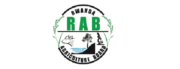 rwanda-agriculture-board | PABRA