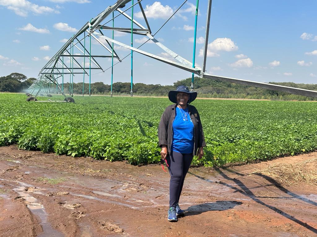 How women entrepreneurs are shaping bean farming in Malawi through ...